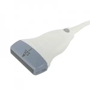 Types of Ultrasound Probes