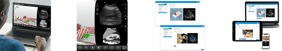 Pulmonary Ultrasound Training