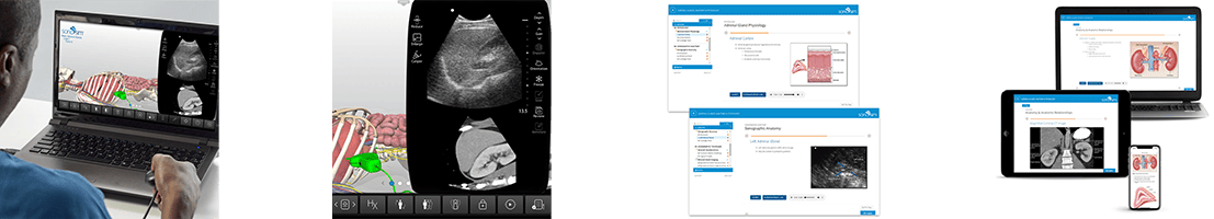 Abdomen Ultrasound Training