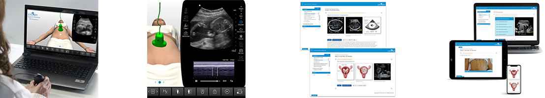 OB GYN Ultrasound Training