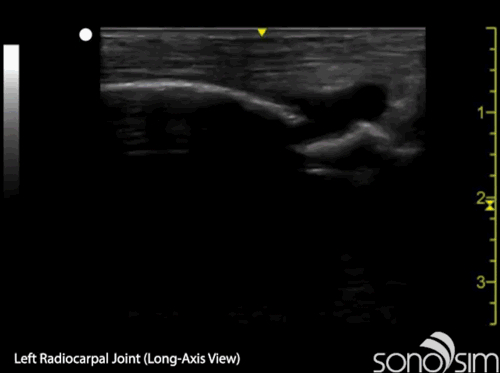 July 2024 -MSK Memo